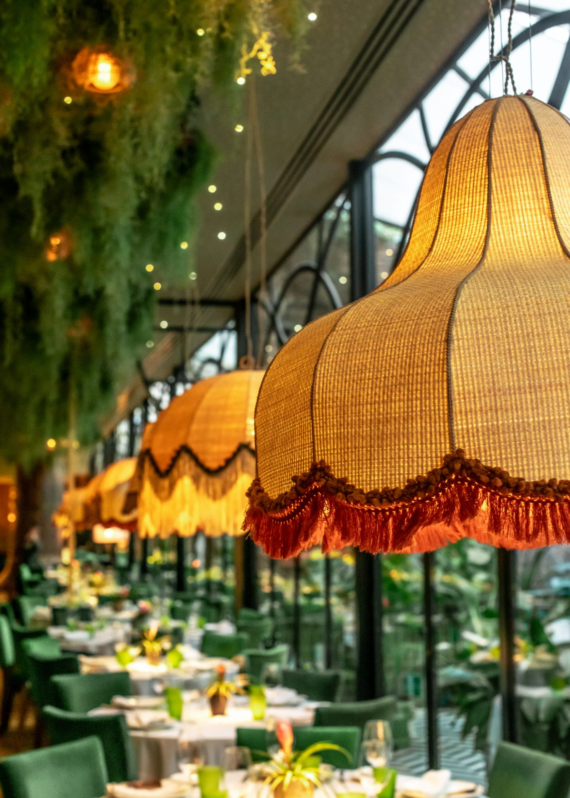 Contact Amazonico Miami | Restaurant in Brickell