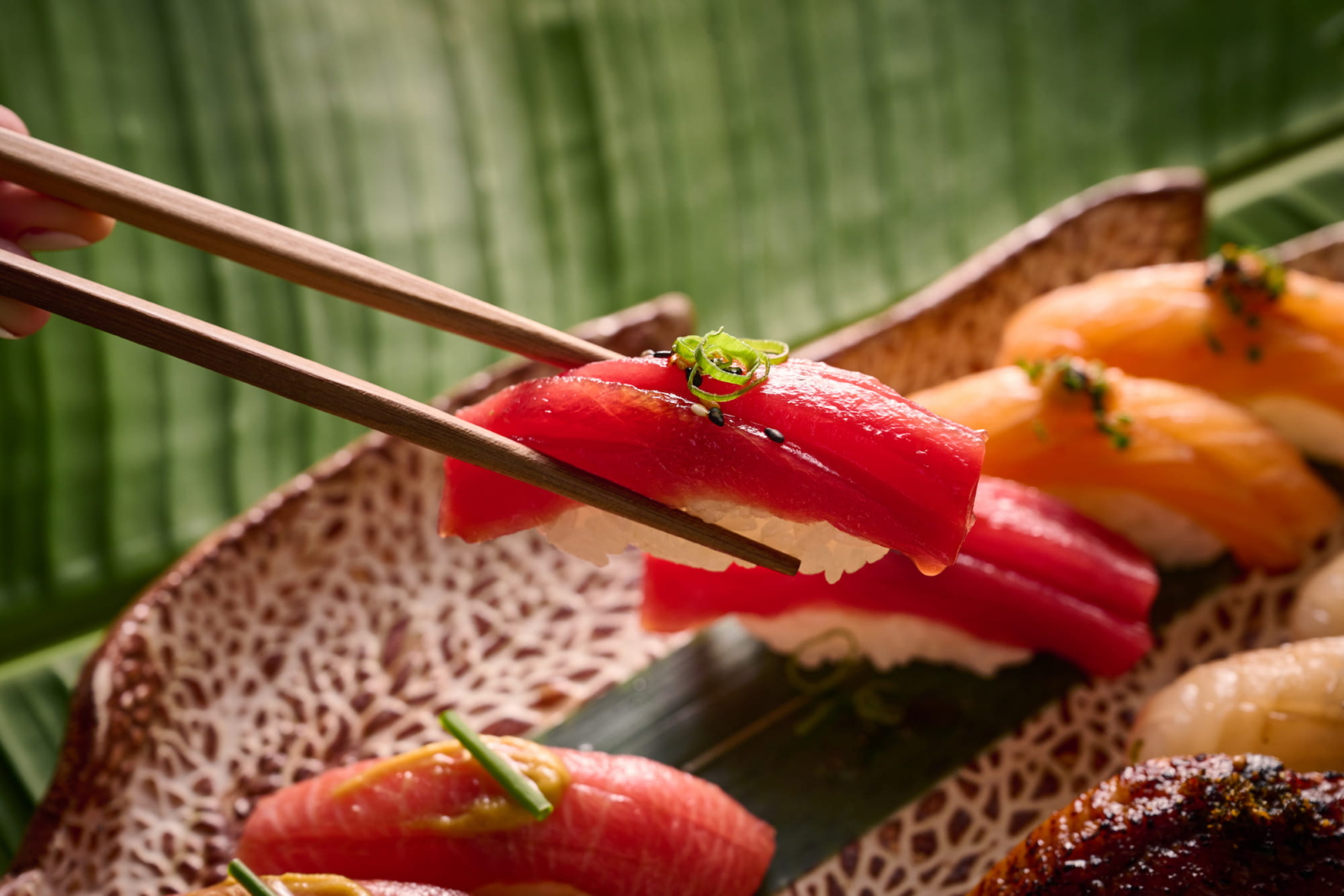 OCTO - Amazónico London private event space