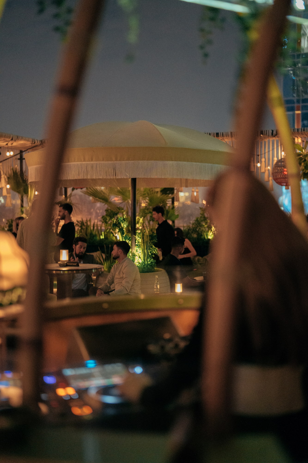 Amazónico Dubai - a sensory journey through the Amazon in DIFC